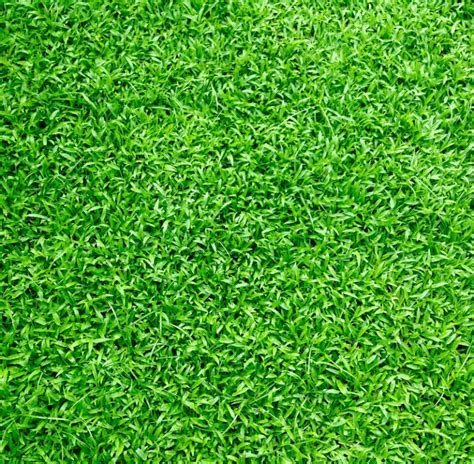 7 Free Grass Repeating Background Patterns For Photoshop