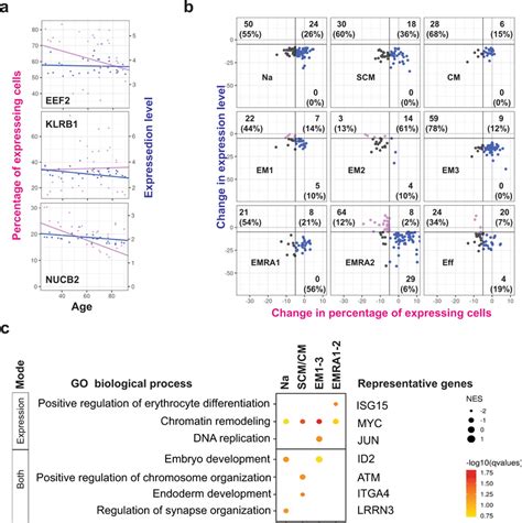Modes Of Age Associated Reduced Gene Expression In Cd8⁺ T Cell