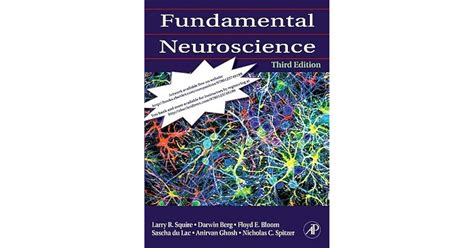 Fundamental Neuroscience By Larry R Squire