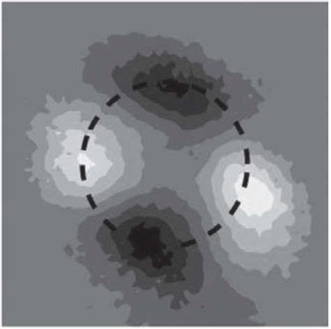 14 Light Intensity Of The Four Lobed Structures Of The Double Helical