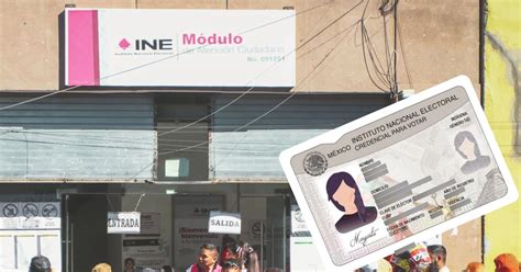 Nueva Credencial Del Ine ¿deberás Cambiar La Tuya Esto Explica El
