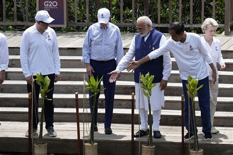 Biden Released A “nature Based Solutions” Climate Roadmap At Cop27