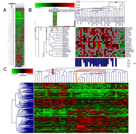 heat map results from microarray analyses a anova analysis