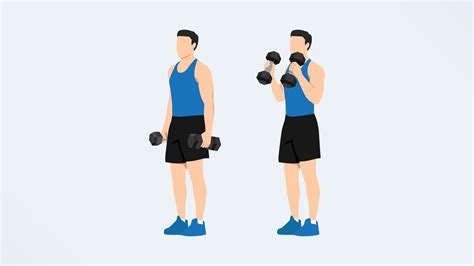 Bicep Curls Vs Hammer Curls Which Is Best Toms Guide