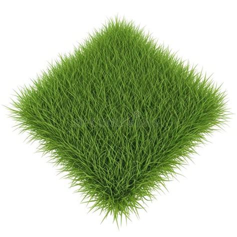 A Green Grassy Patch On A White Background Looks Fresh And Natural