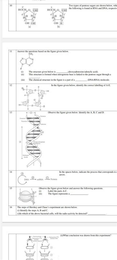 11begin Tabular L Answer The Questions Based On The Figure Given Below