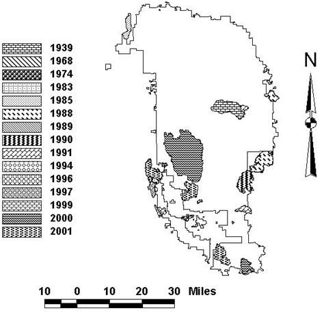 Some Wildfires That Have Occurred In The Black Hills National Forest