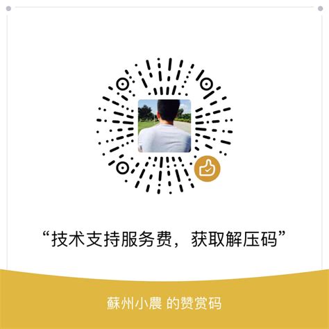 （译）深入理解 Kubernetes 网络模型 自己实现 Kube Proxy 的功能 Cloudnative 架构