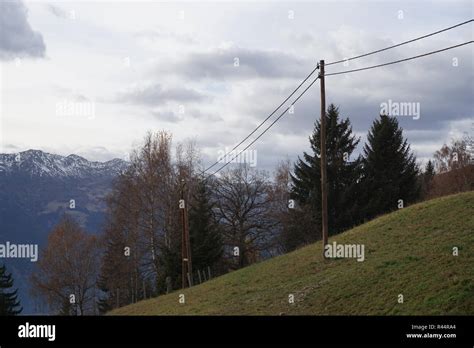 Power Linewooden Polewooden Poleslow Voltageoverhead Line Stock