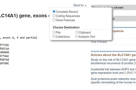 Fasta Definition Programs Working Steps Applications Biology
