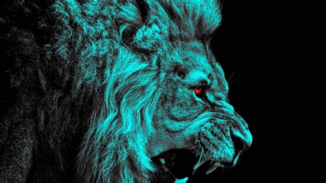 Angry Lion Wallpaper Hd 1080p Free