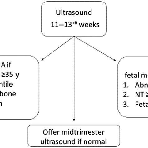 Algorithm For First‐trimester Ultrasound And Cell‐free Dna To Be