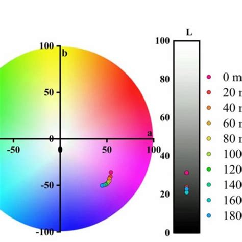 Atomic Force Microscope Topography Of Anthocyanin Compound−binary