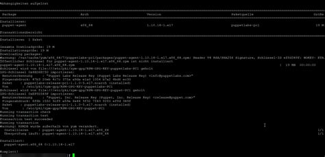Installation Von Puppet Teil 4 Agent Installation Unter CentOS 7
