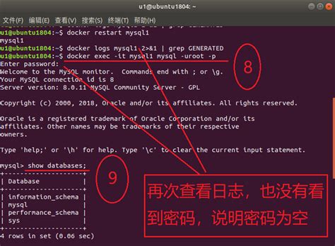 在docker中体验数据库之mysql du blog 博客园