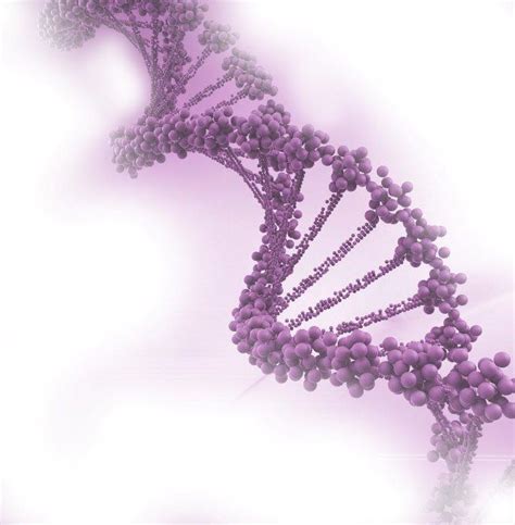 Über Theta Healing sara institut de