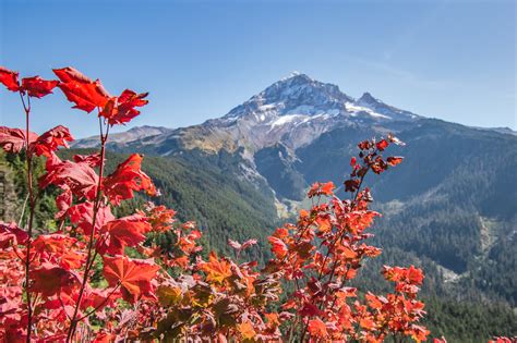 Annie Explore Annie Explore Added A New Photo — At Bryce