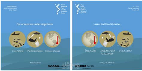 تصميم إنفوجرافيك مستقل