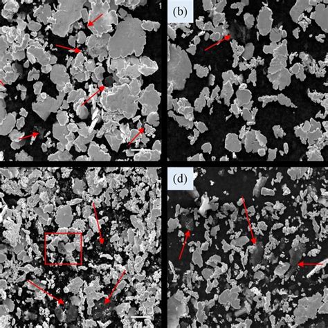 Sem And Eds Of Copper Coated Graphite Powder Sem Of Copper Coated Ccu Download Scientific