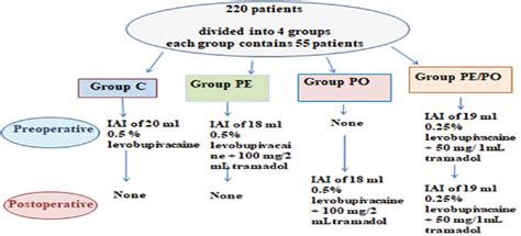 Comparative Study Between Preemptive And Postoperative Intra Anesthesia Essays And Researches