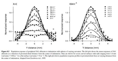 Tactile Information Processing In The Primate Brain Research Paper Irn