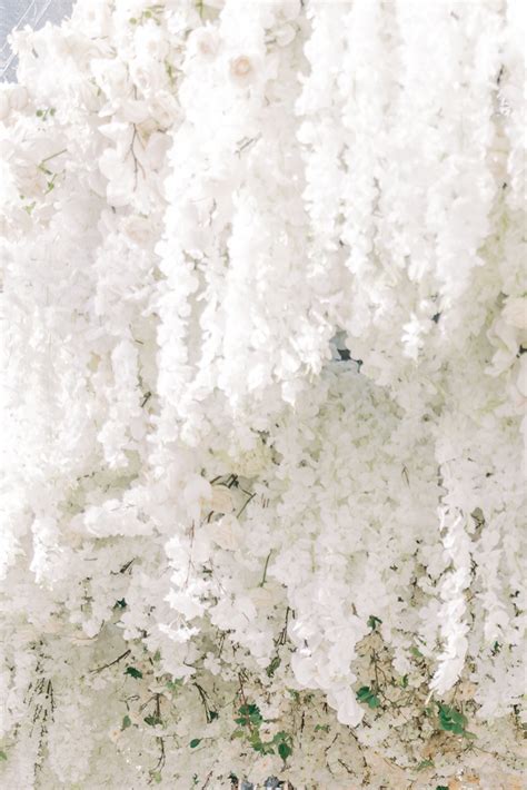 Portfolio Rebecca Michael