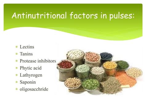 Antinutritional Factors In Pulses Pptx Healthy Cooking And Eating Food And Drink