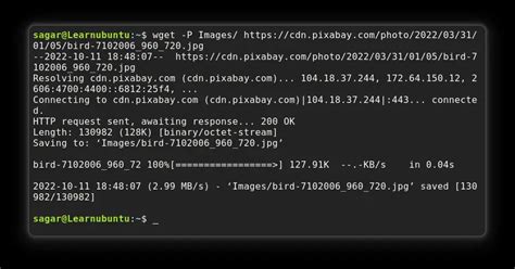 How To Install And Use Wget On Ubuntu