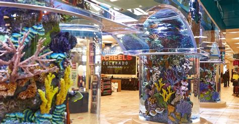Things To Do At Billings Scheels