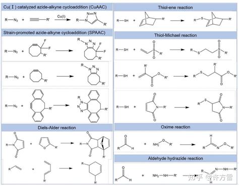 《materials Horizons》综述：点击化学让生物3d打印更安全 知乎