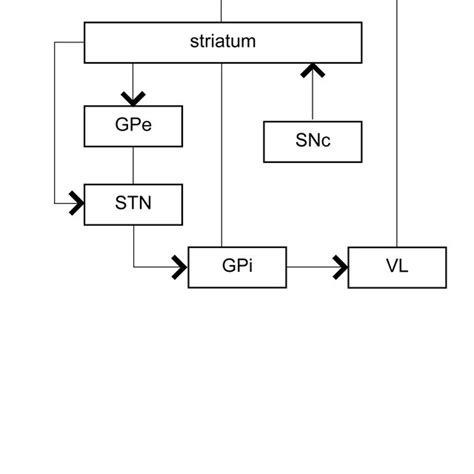 Direct Indirect Closed Loop Model Of The Basal Ganglia Download Scientific Diagram