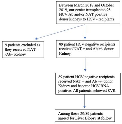 Flow Chart Of Patient Selection Negative Positive Ab