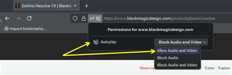 Librewolf Not Showing Embedded Video Applications Endeavouros