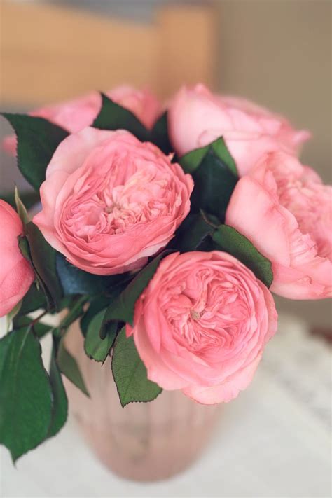 Beautiful Pink Roses In A Vase