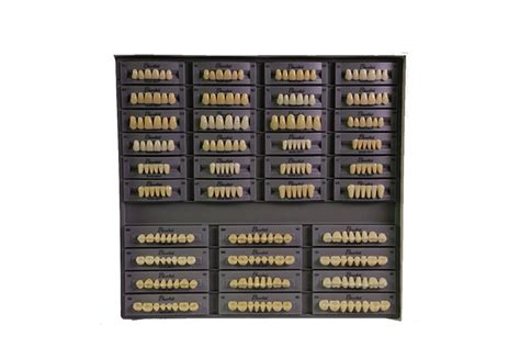 Teeth Living Mould Guide — Huge Dental