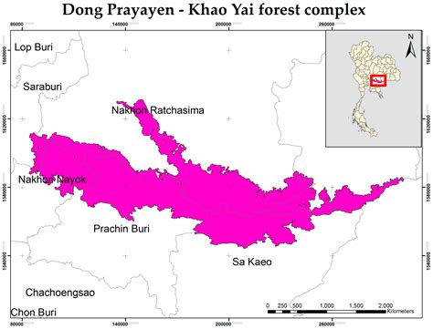Everything About Wood Topographic Correction Of Landsat Tm 5 And Landsat Oli 8 Imagery To