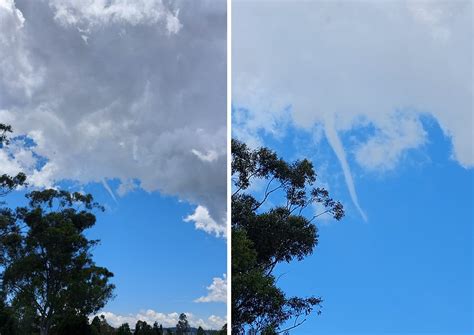 Check Out This Cute Shear Funnel South Brisbane Storms