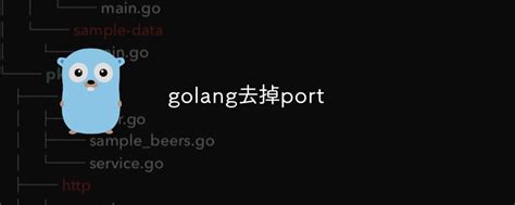 how to remove port in golang golang php cn