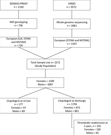 Study Flow Flowchart Of Study Participants In The Cohort