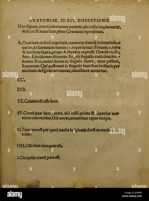 Anatomiae Pars Prior By Dryander Is A Detailed Anatomical Work Featuring Engravings Of The