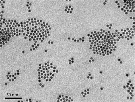 The TEM Images Of A Fe3O4 B Fe3O4 SiO2 And C Fe3O4 SiO2 P D Download Scientific