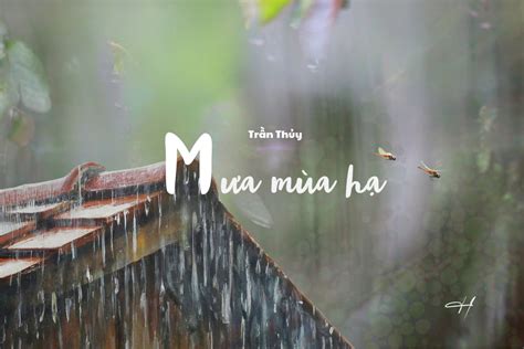 Mùa Hạ Mưa News Tản Văn Hay Trần Thủy