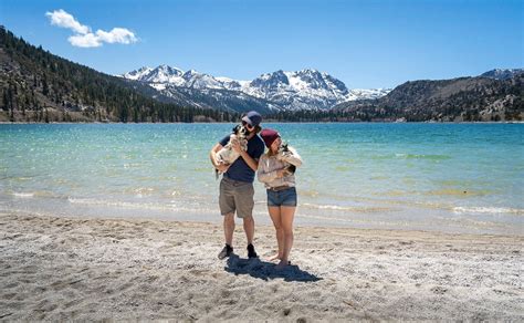Are Dogs Allowed At June Lake