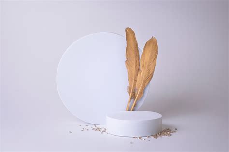 황금 깃털과 작은 크리스탈흰색 배경에 흰색 연단 제품 화장품 프리젠 테이션연단 창조적 인 조롱 미용 제품을 위한 받침대 또는 플랫폼 금 금속에 대한 스톡 사진 및 기타