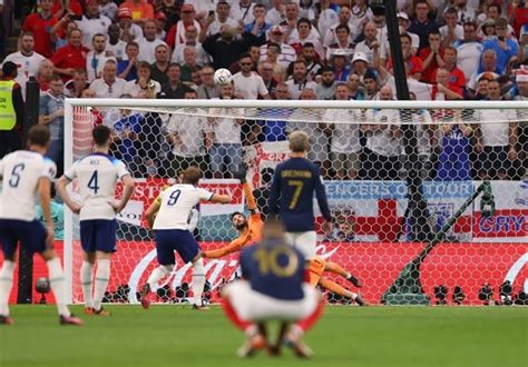 جام جهانی قطر صعود خروس‌ها در قاب تصاویر