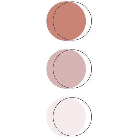 백색 배경에 고립 된 선 터 일러스트레이션과 함께 원 모양의 베이지 파스텔 색상 프리미엄 벡터