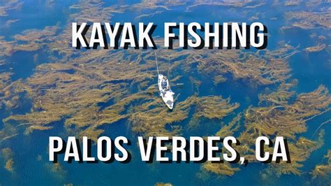 Kayak Fishing Palos Verdes Kelp Forest Youtube