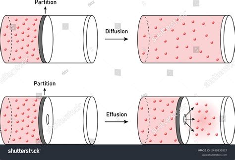Diffusion Versus Effusion Difference Between Two Stok Vektör Telifsiz Shutterstock