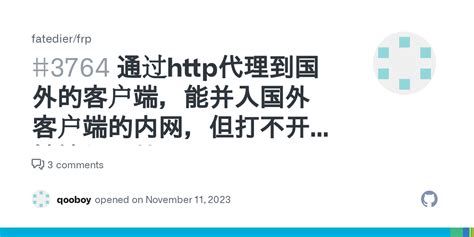 通过代理到国外的客户端，能并入国外客户端的内网，但打不开被墙的网站！ · Issue 3764 · Fatedierfrp