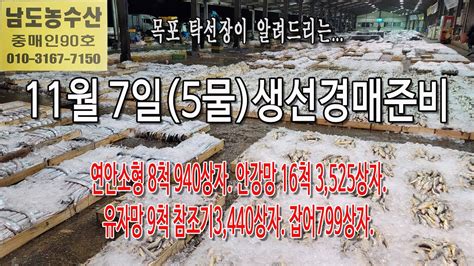 11월 7일5물 바라조기 7석참조기 유자망참조기 파조기 먹갈치 풀치 병어 자랭이 갑목포 남도농수산 탁선장 010 3167 7150 010 9871